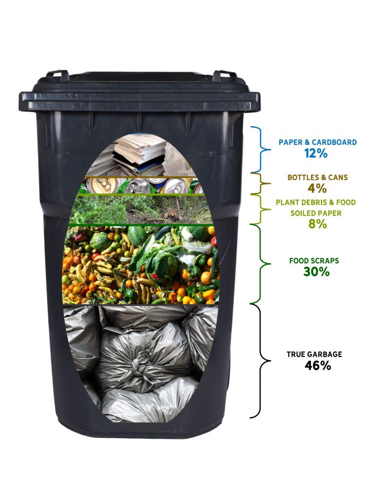 What's in Marin's Garbage? - Marin Sanitary Service