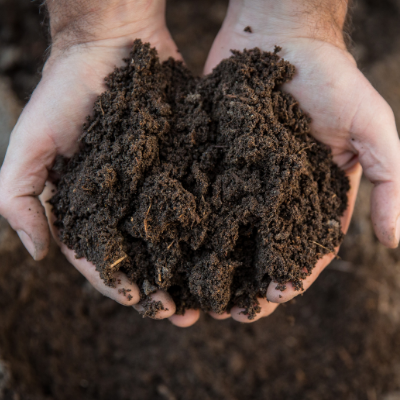 Curbside Composting Guide - Marin Sanitary Service